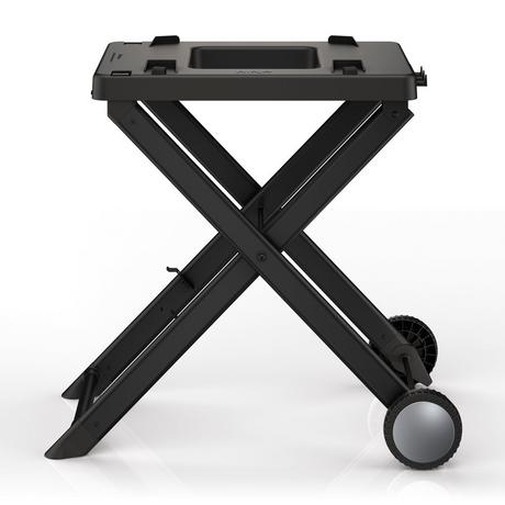 Ninja XSKGRLLSTDEUK Woodfire Electric BBQ Grill Stand | Donaghy Bros.